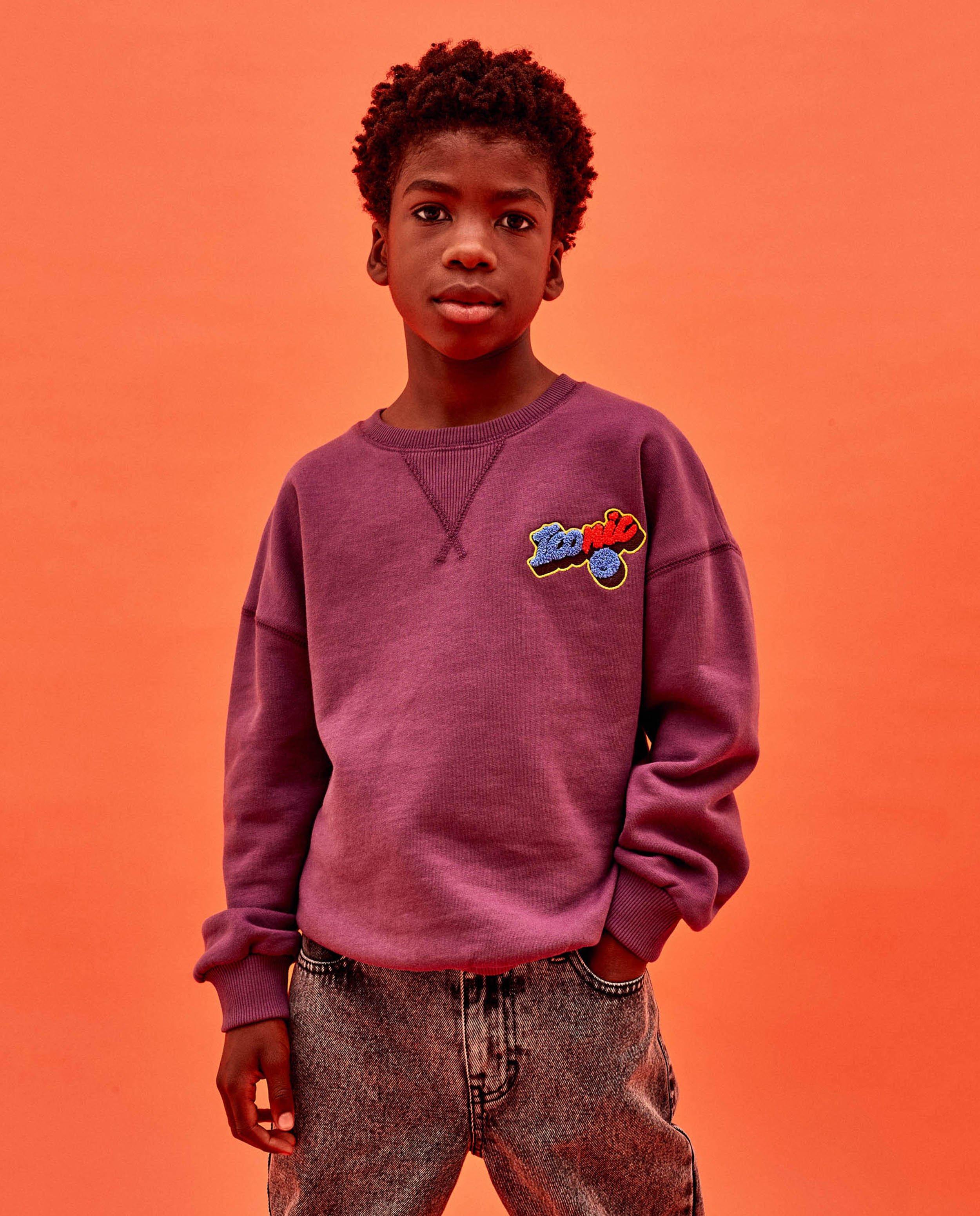 Paarse sweater met bouclé patch CKS | JBC België